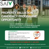 Mentorship programme – SAIV
